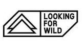 Looking For Wild