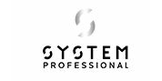 System Professional