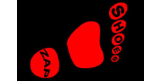 Zap Shoes