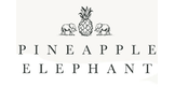 Pineapple Elephant