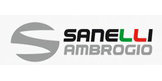 Sanelli Ambrogio
