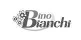 Dino Bianchi