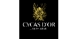 CYCAS D'OR